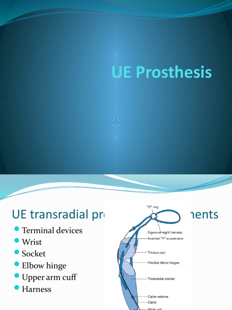 UE Prosthesis | PDF | Prosthesis | Anatomical Terms Of Motion