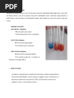 Prueba de Barfoed | PDF | Química Orgánica | Química