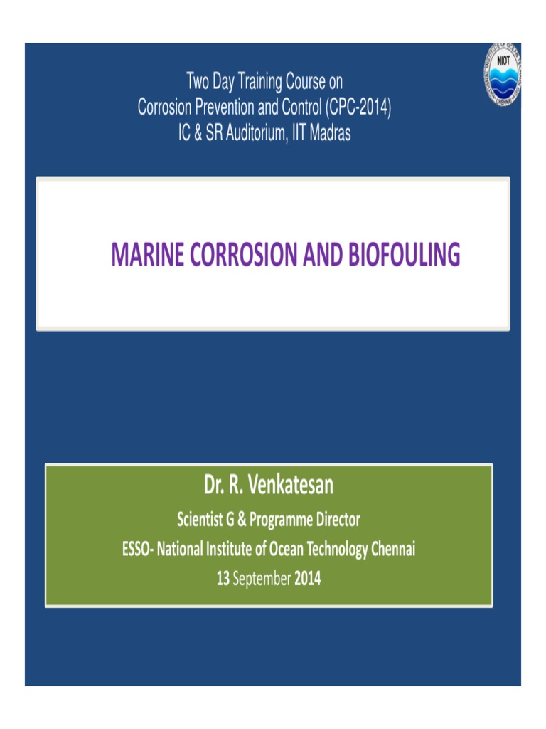 Corrosion in Marine Appli | PDF | Corrosion | Epoxy