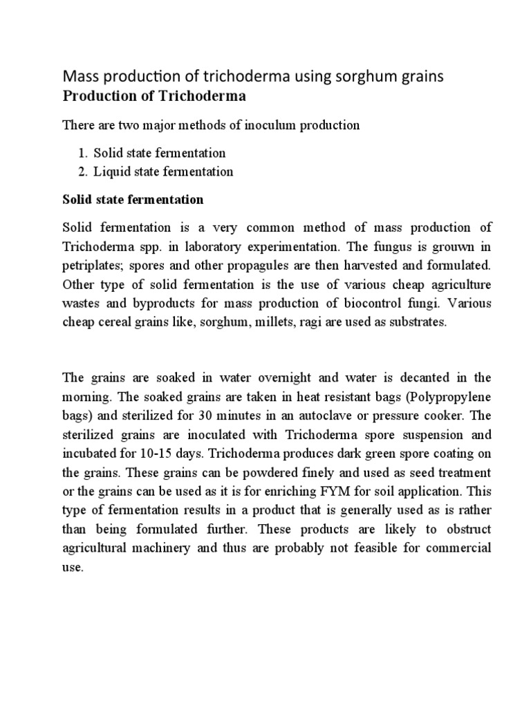 Mass Production of Trichoderma Using Sorghum Grains | PDF