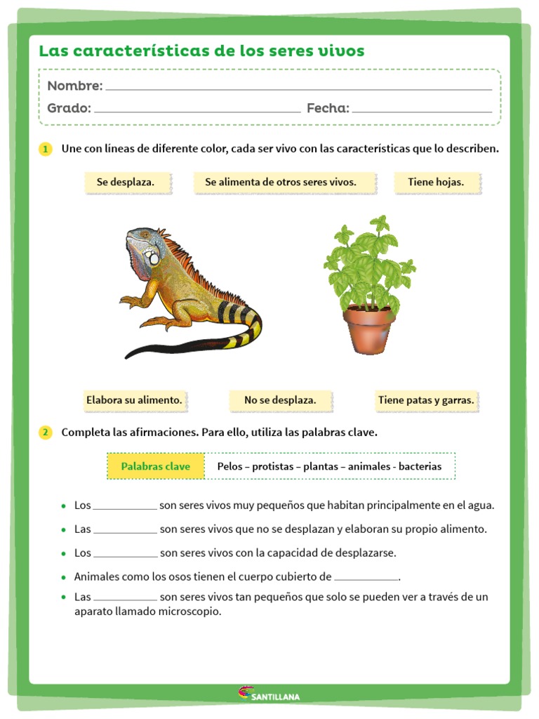 Caracterisiticas de Los Seres Vivos | PDF