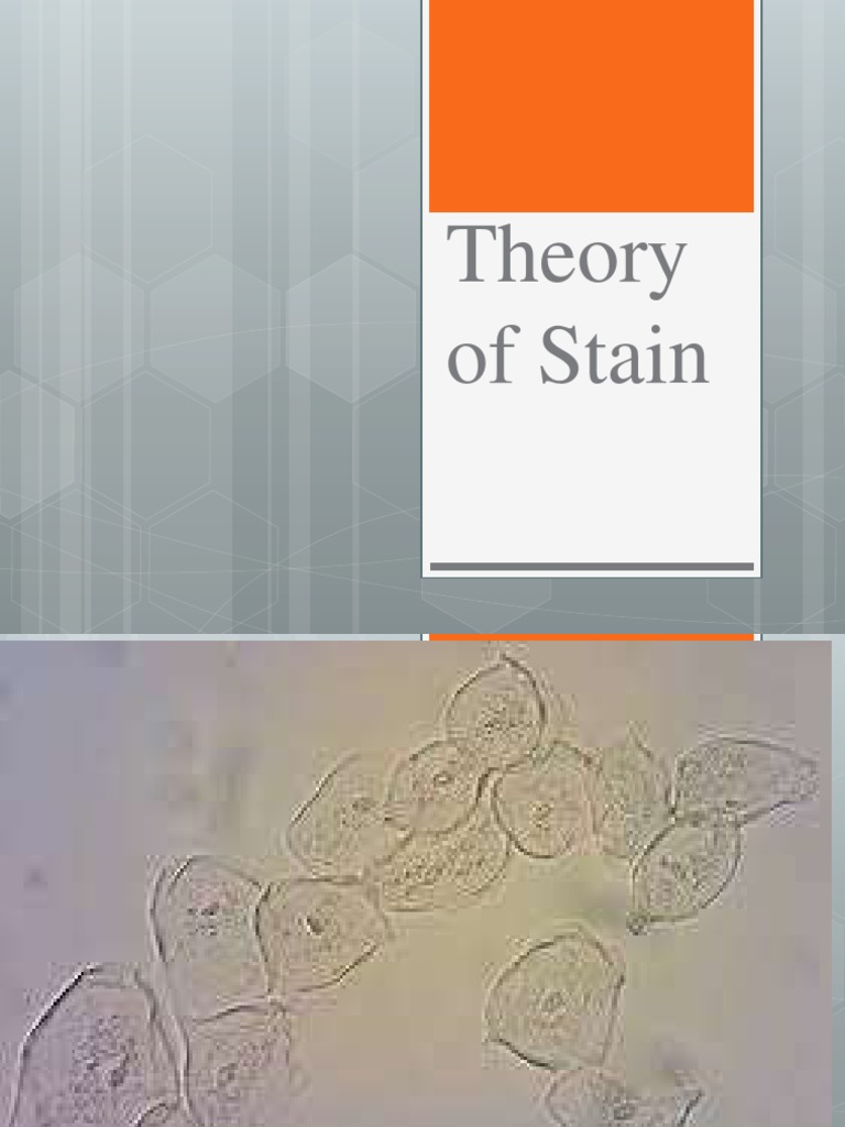 Theory of Stain-190218112311 | PDF | Staining | Dye