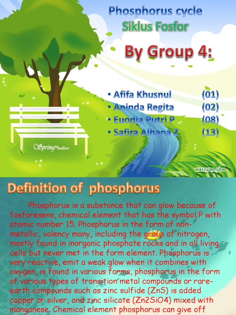 Siklus Fosfor - Phosphorus Cycle | PDF | Sains & Matematika