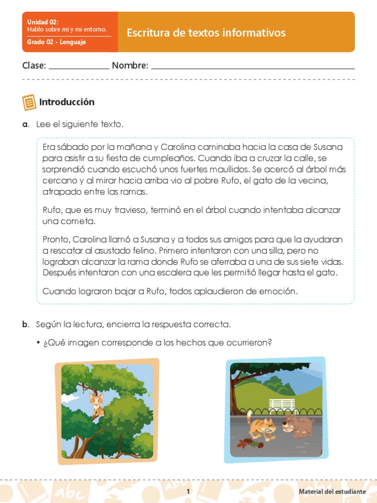 Textos Informativos | PDF | Panda gigante | Gatos
