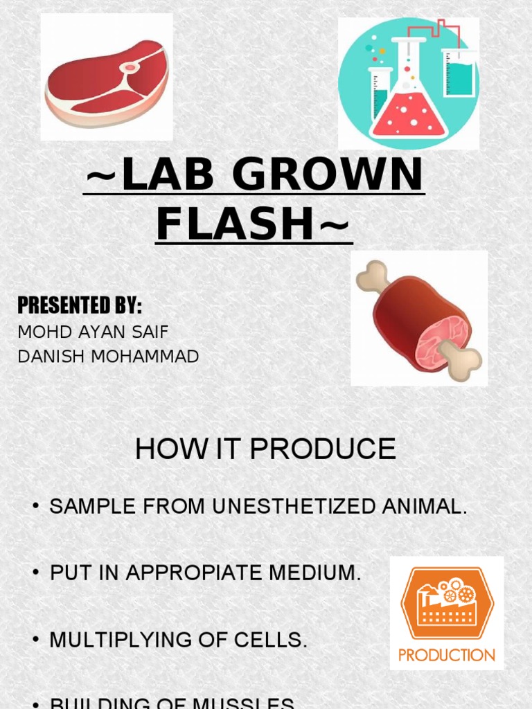 LAB FLASH (Danish) | PDF