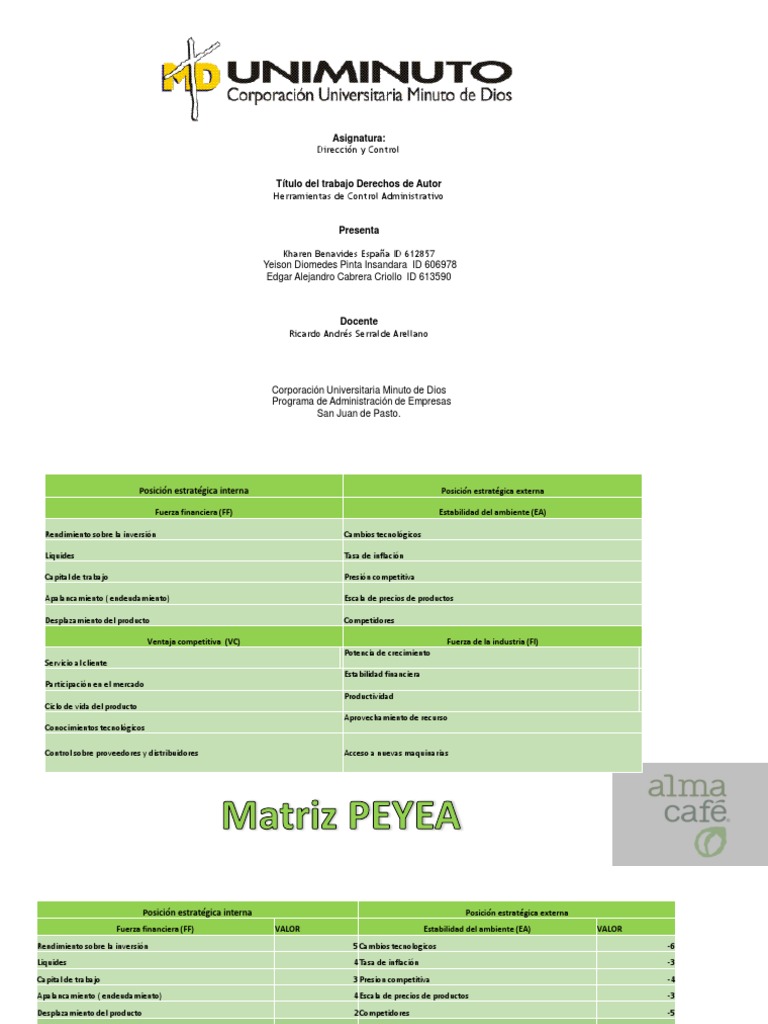 Actividad 6 Matriz Peyea | PDF | Economias | Business