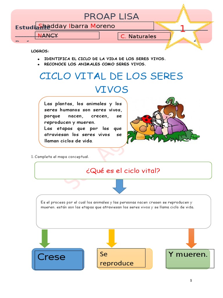 Ciclo Vital de los Seres Vivos para Niños | PDF | Reproducción | Vida