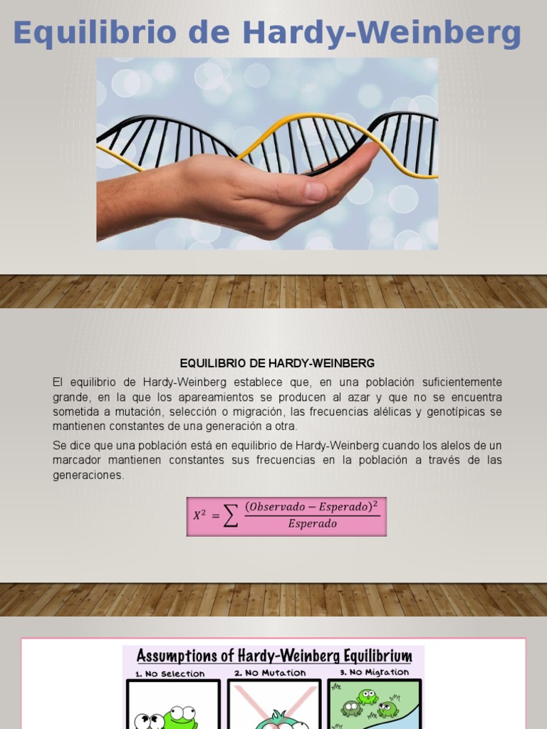 Presentación Equilibrio De Hardy Weinberg Pdf Evolución Biológica