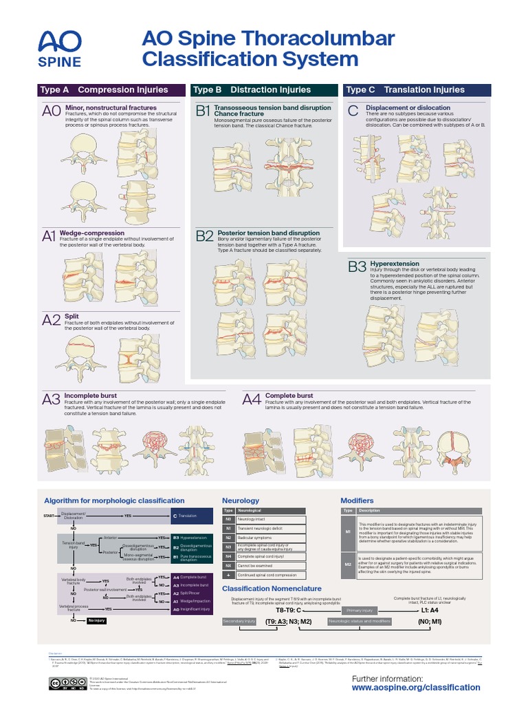 AOS Injury Classification Systems Poster 20200327 THORACOLUMBAR | PDF ...