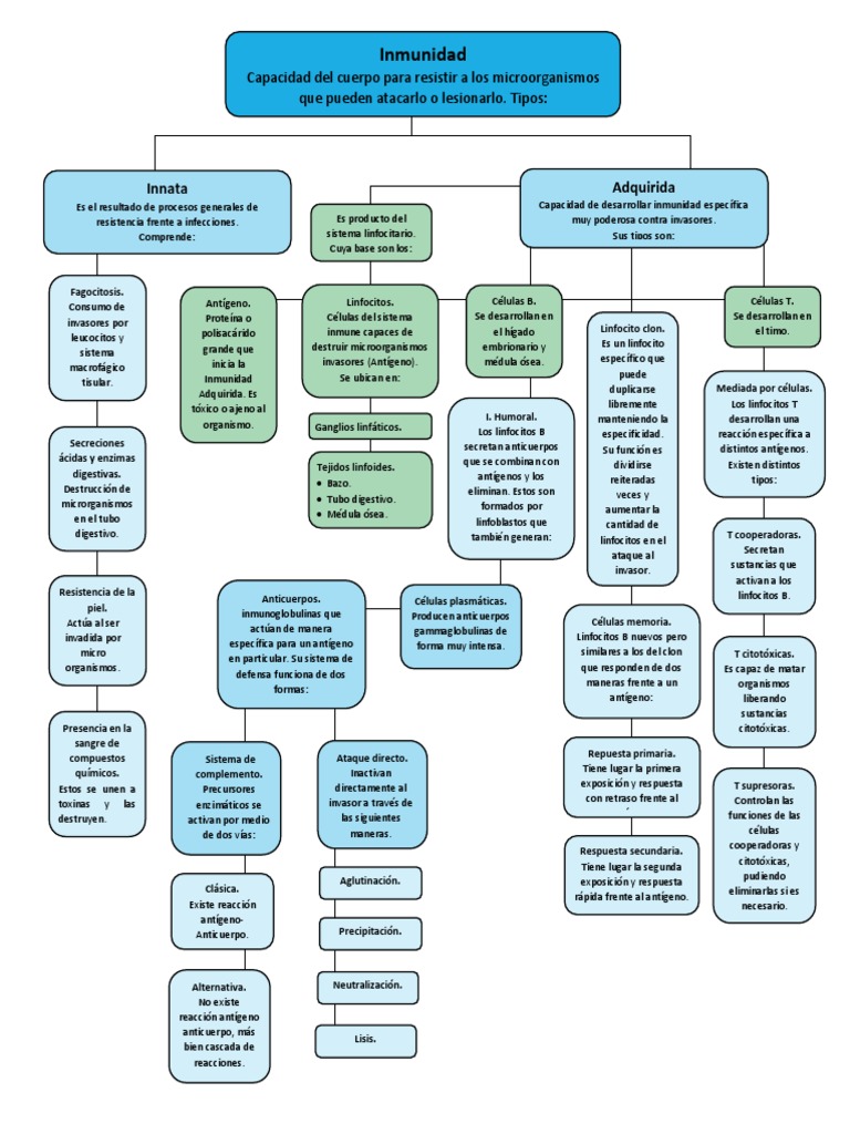 Mapa Conceptual Inmunidad | PDF | Linfocitos | Antígeno