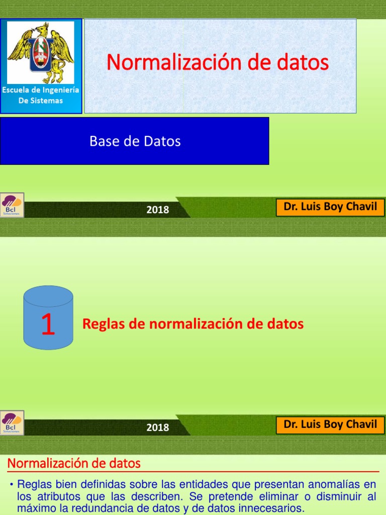 1-Normalización de Datos | PDF | Recuperación de información | Datos