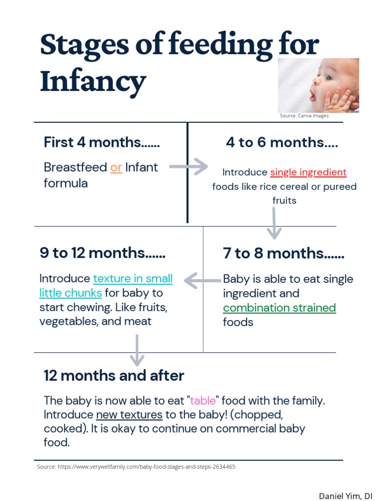 Stages of Feeding For Infancy | PDF