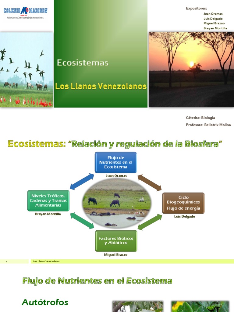 Exposición Ecosistemas (Los Llanos Venezolanos) | PDF | Ecosistema | Suelo