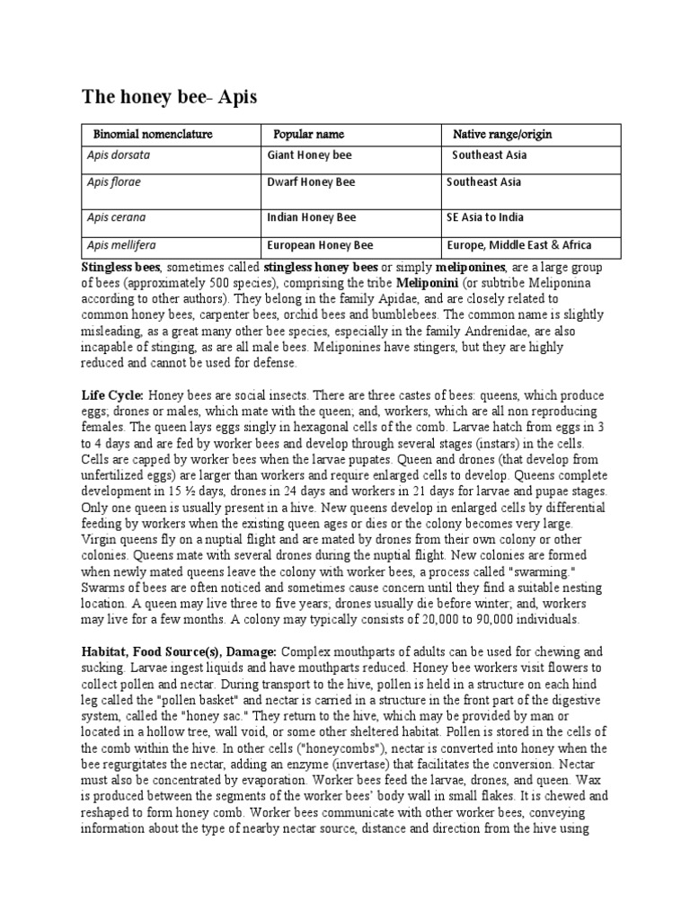 An In-Depth Look at Honey Bee Biology, Behavior, Types of Hives, and ...