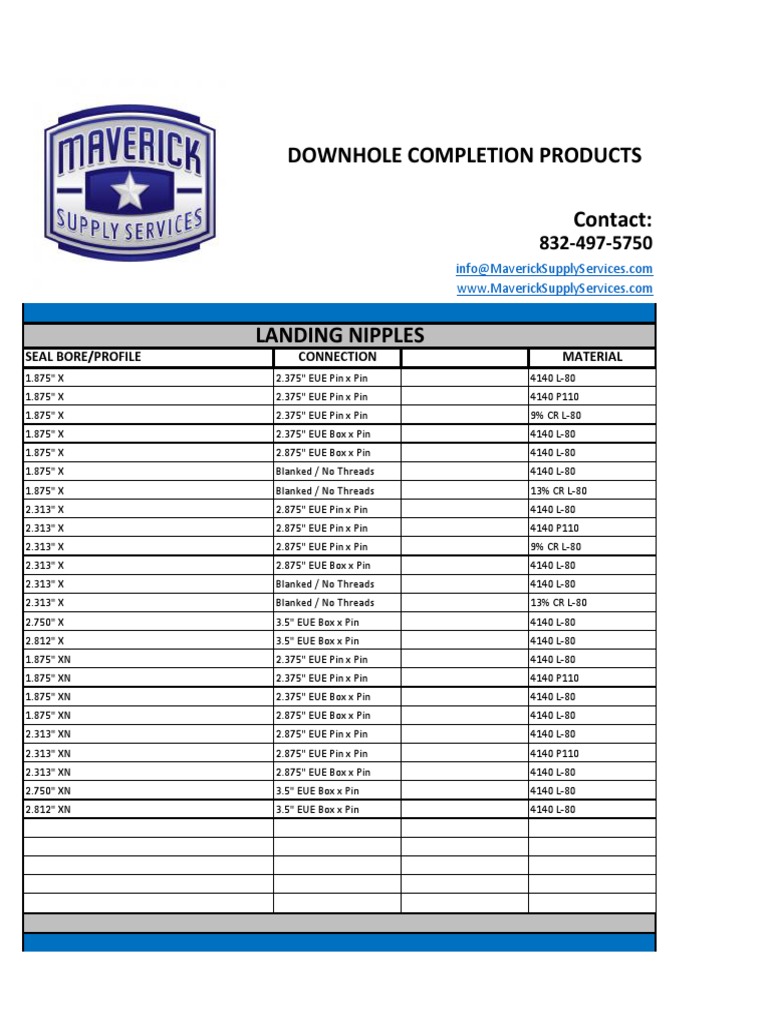 Downhole Completion Products PDF | PDF | Mechanical Engineering | Equipment