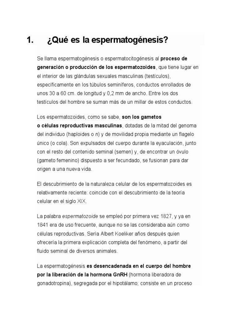 Proceso de Espermatogénesis Explicado | PDF | Sistema Reproductor ...