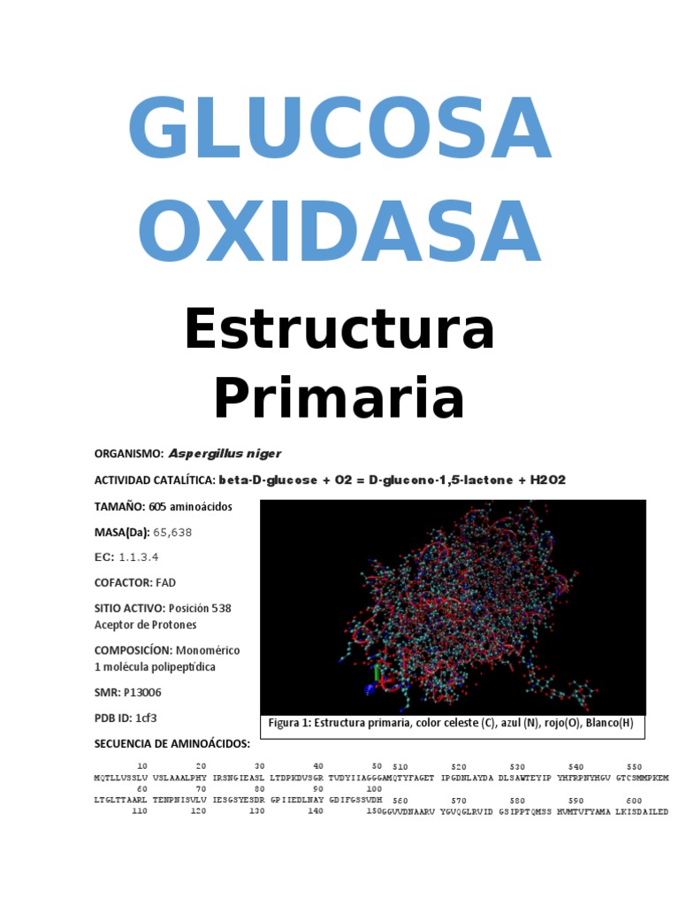 Enzimatica 1 GLUCOSA OXIDASA | PDF | Hidrólisis | Enzima