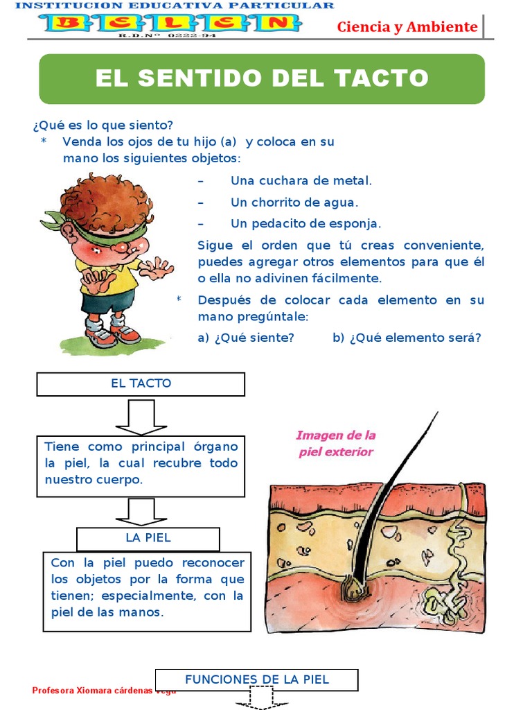 El Sentido Del Tacto Primaria | PDF | Piel | Naturaleza