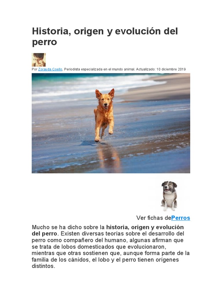 Historia de Los Perros | PDF | Perros | Organismos
