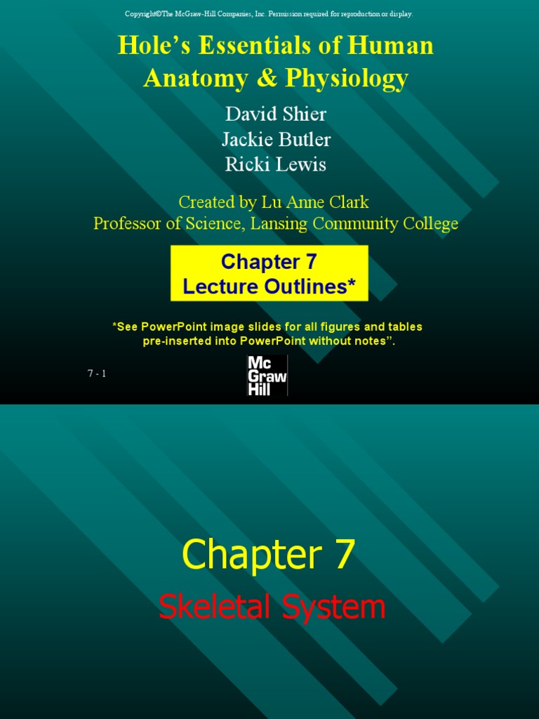 Hole's Essentials of Human Anatomy & Physiology: David Shier Jackie ...