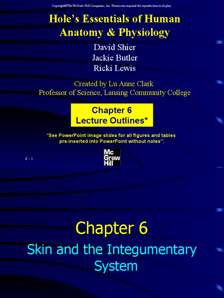 Hole's Essentials of Human Anatomy & Physiology: David Shier Jackie ...