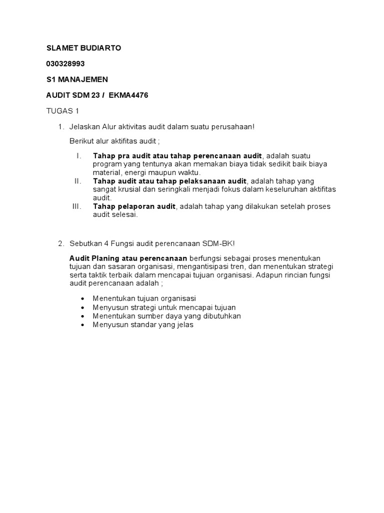 Tugas 1 Audit SDM EKMA4476 | PDF