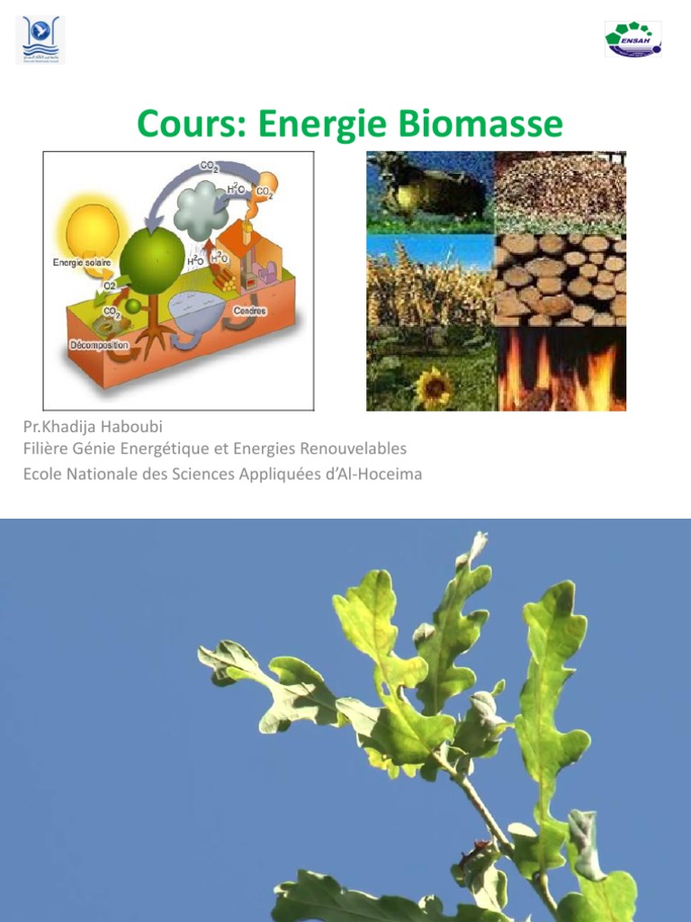 Cours sur l'énergie de la biomasse | PDF | Biomasse (énergie ...