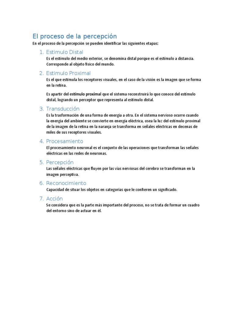 El Proceso de La Percepción | PDF | Percepción visual | Percepción