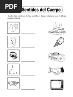 Mapa Conceptual de los 5 Sentidos | PDF
