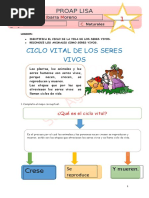 Ciclo de Vida de los Animales para Niños | PDF