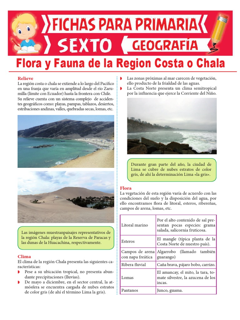 Flora y Fauna de La Region Costa o Chala: Relieve | PDF | Ciencias de ...