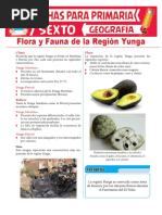 TABLAZOS | PDF | Perú | Geología