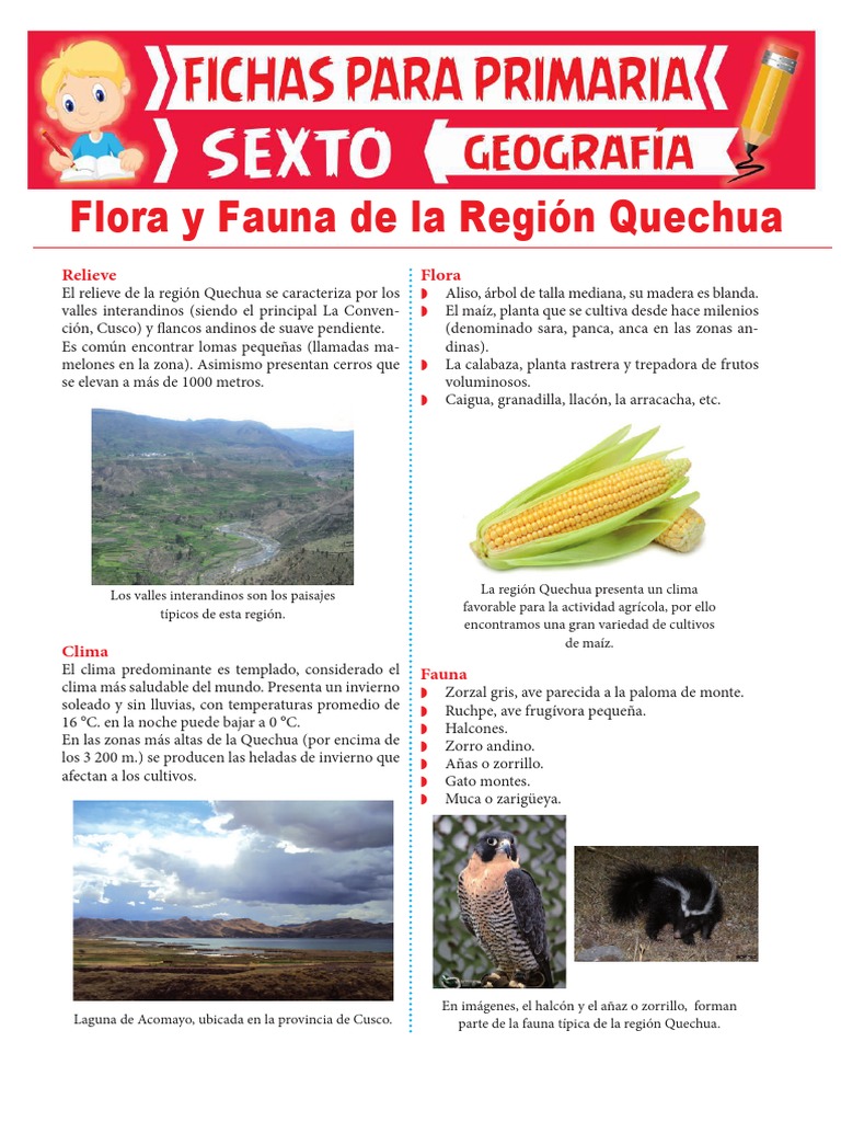 Flora y Fauna de La Región Quechua | PDF | Clima templado | Clima