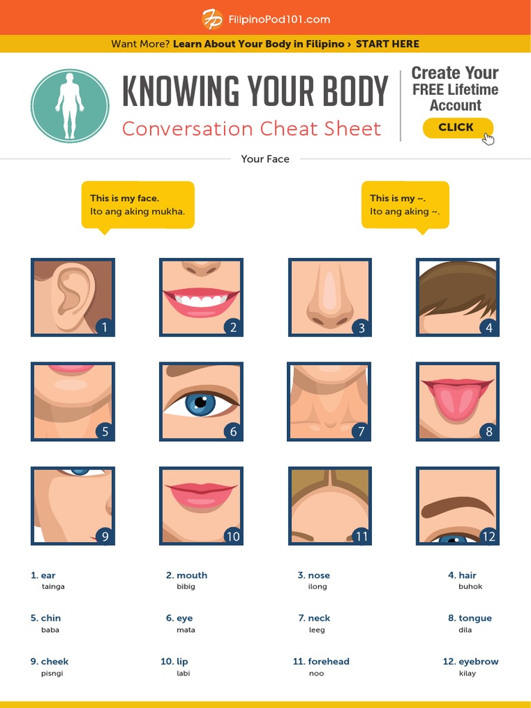Learn About Your Body Parts in Filipino | PDF | Human Head And Neck ...