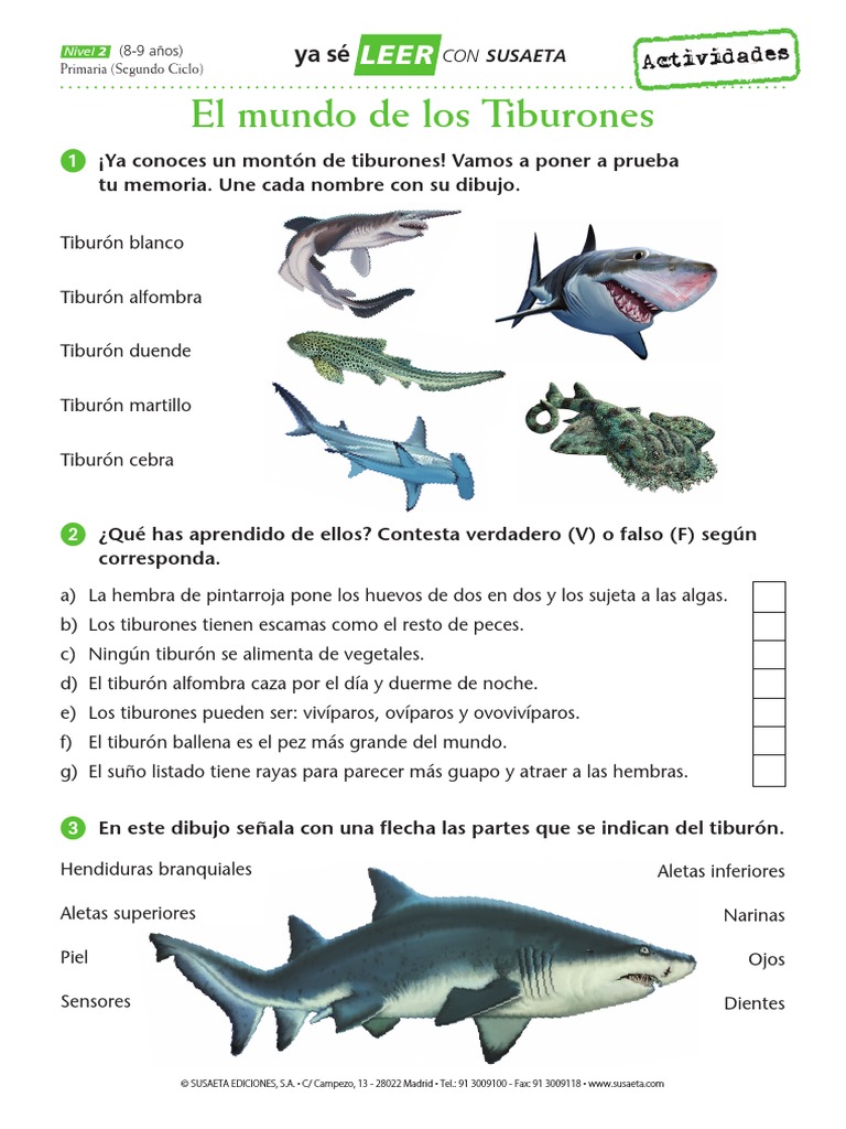 LEER 2 Tiburones Activi PDF | PDF | Tiburones | Pescado