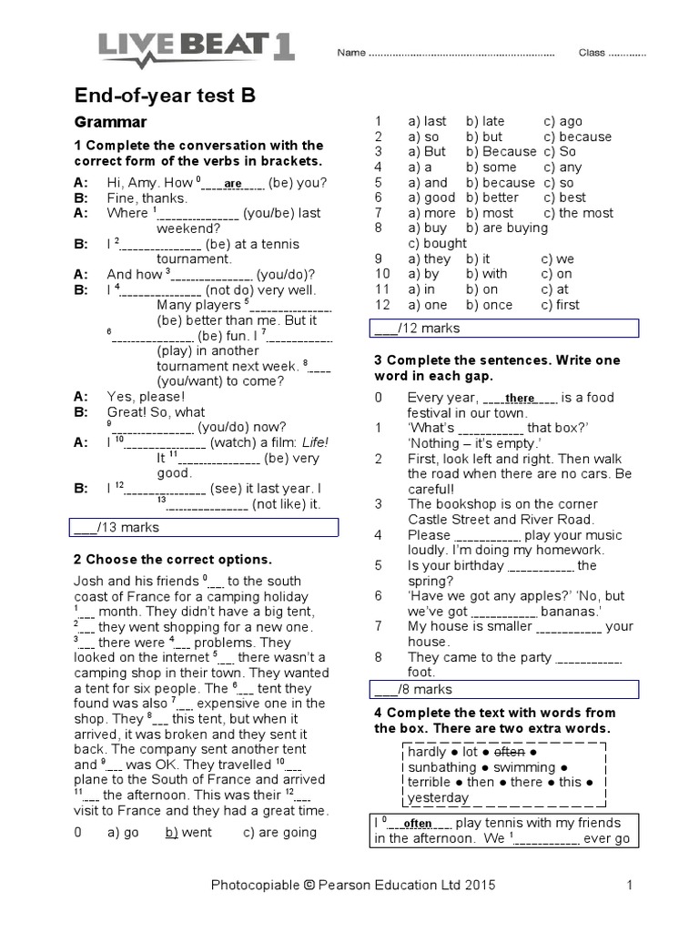 End-Of-Year Test B: Grammar | PDF