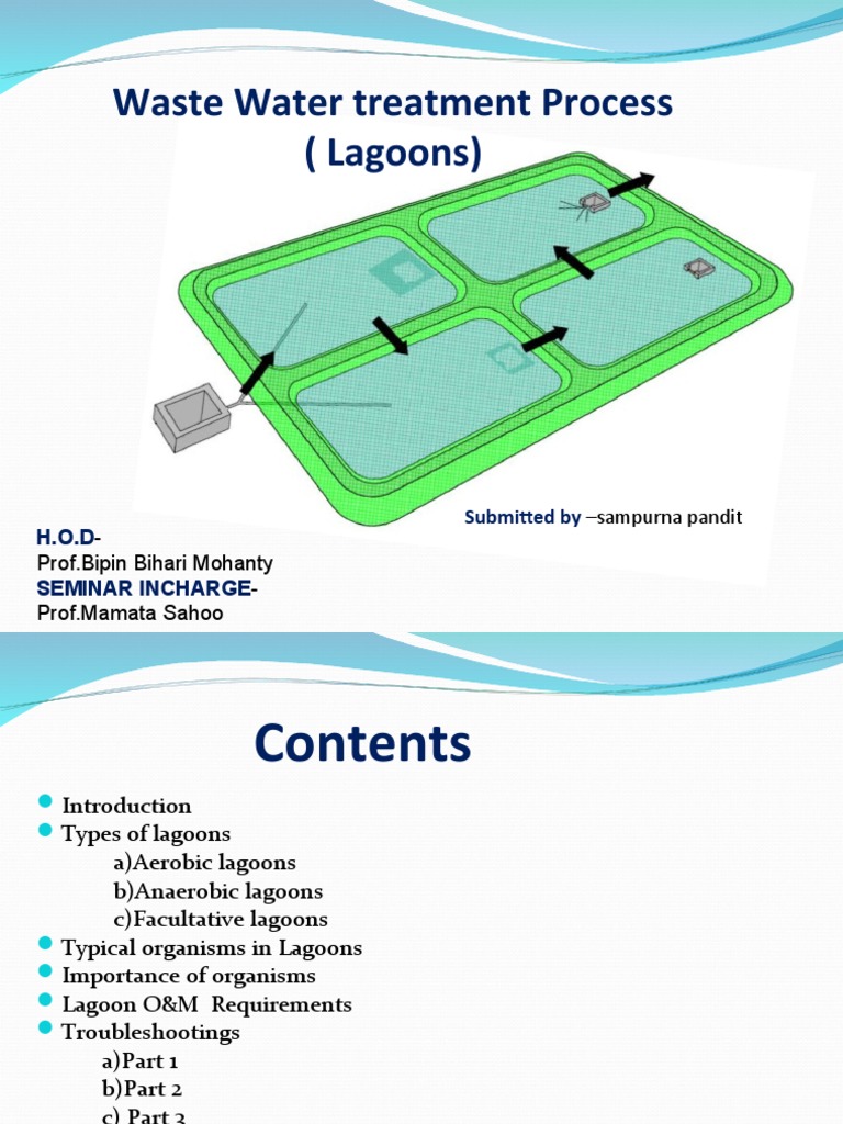 Waste Water Treatment Process (Lagoons) : Submitted by H.O.D Seminar ...