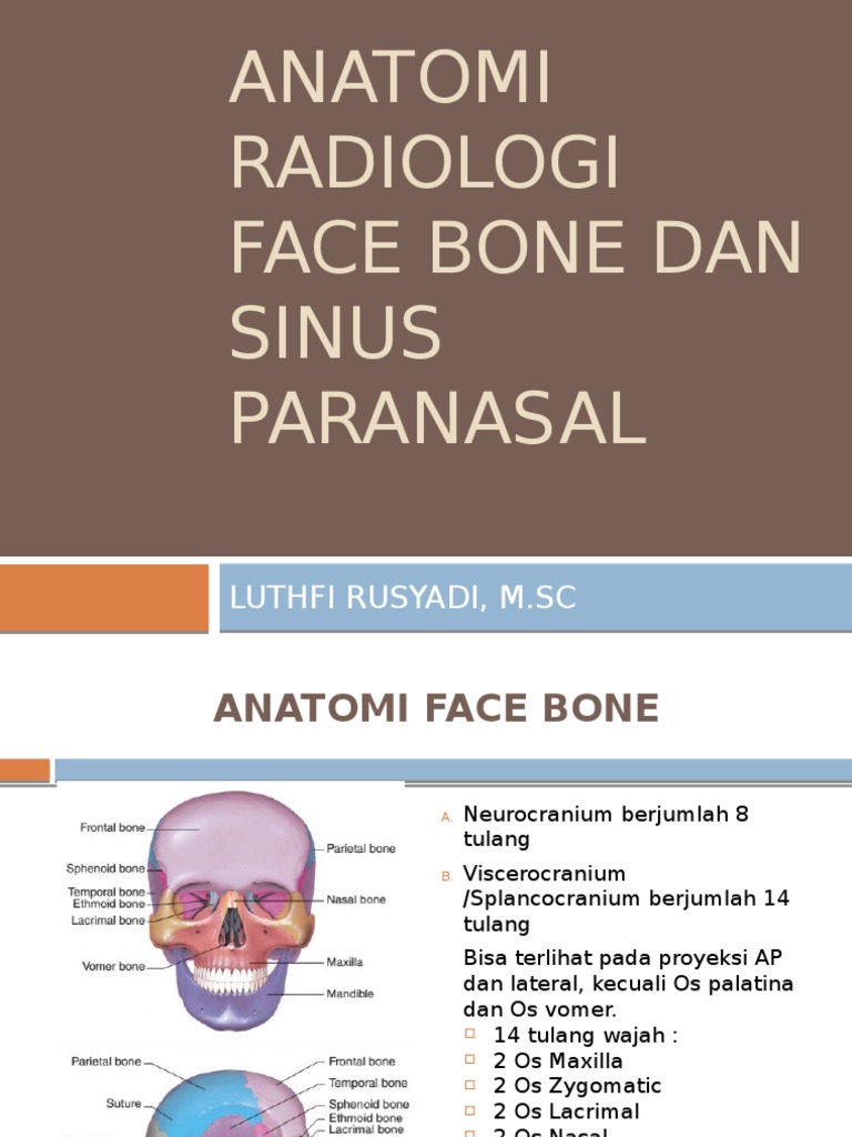 Anrad Face Bone Dan Sinus Paranasal | PDF
