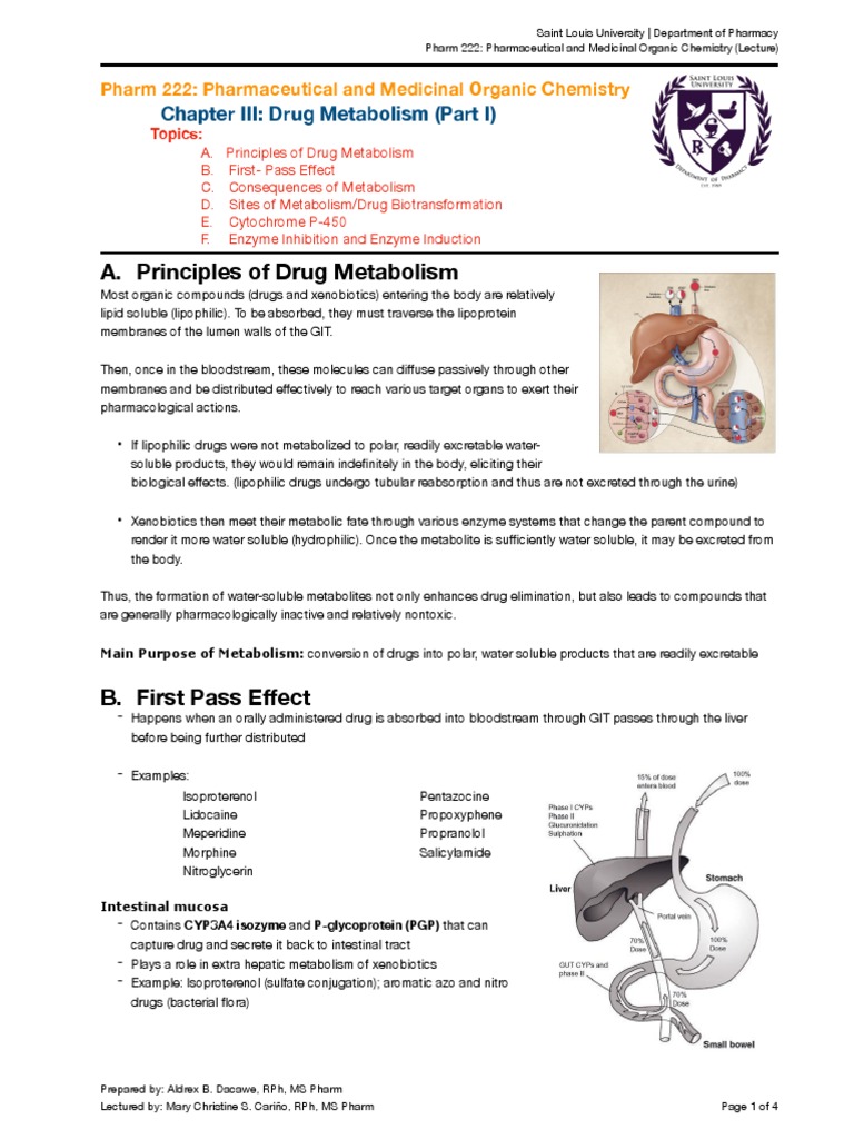 A. Principles of Drug Metabolism | PDF | Cytochrome P450 | Drug Metabolism