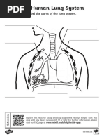 The Respiratory System Diagram No Labels - Google Searcho | PDF ...