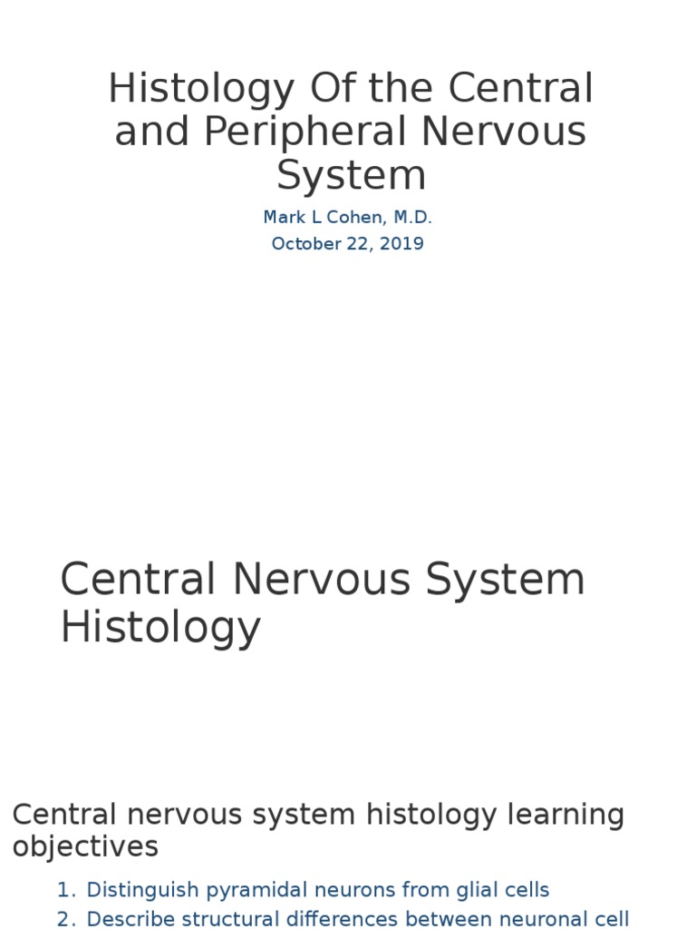 Cohen - B7.5 - MSK - Central - and - Peripheral - Nervous - System ...