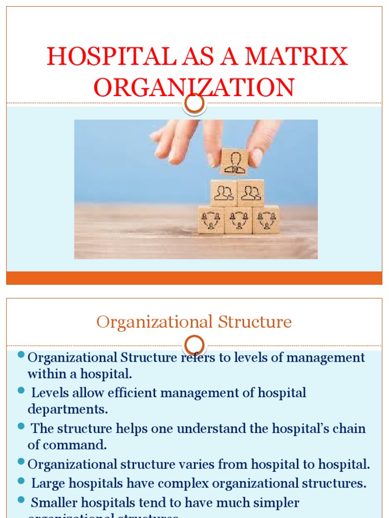Hospital Matrix | PDF | Organizational Structure | Business