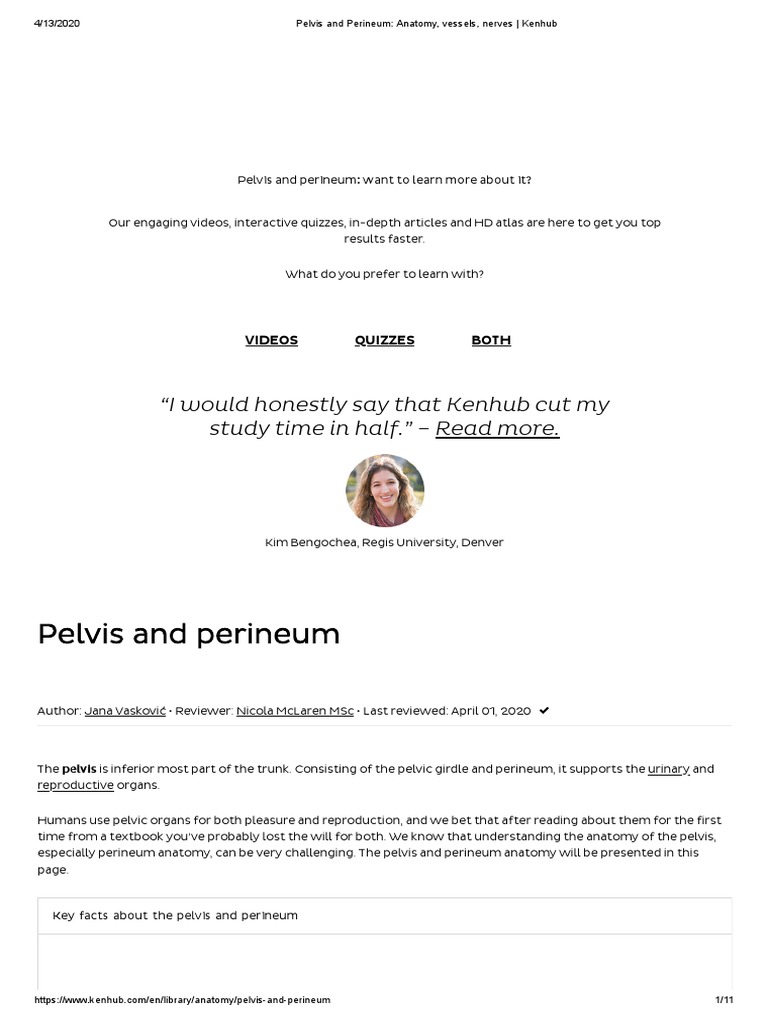 Pelvis and Perineum - Anatomy, Vessels, Nerves - Kenhub | PDF | Pelvis ...