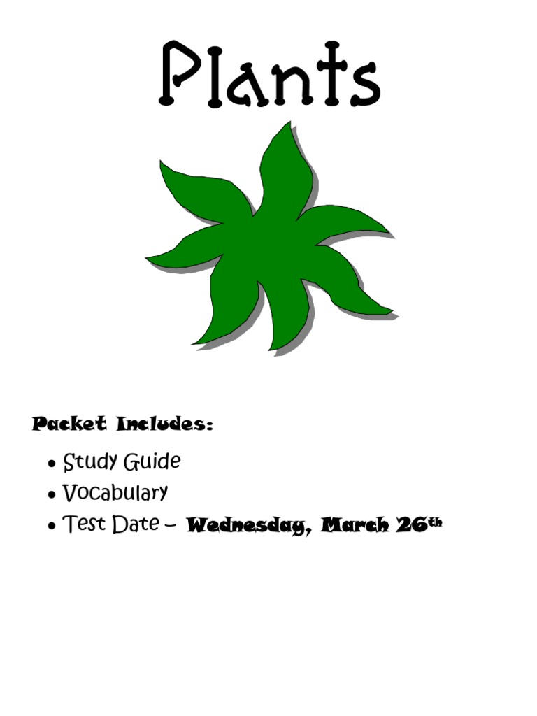 Plants Study Guide PDF | PDF | Seed | Fruit