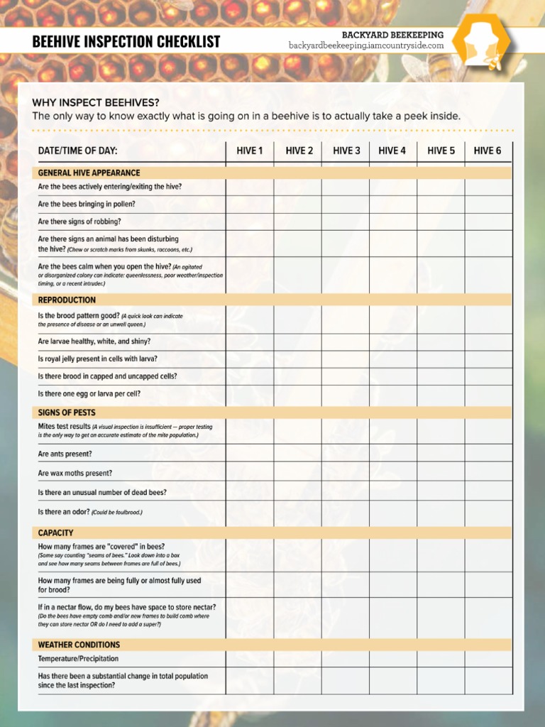 Hive Inspection Sheet #1 | PDF