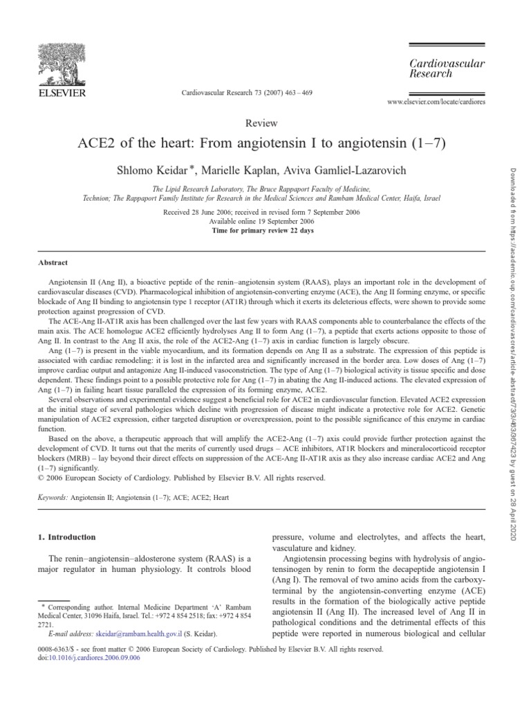 2007 ACE2 of The Heart - From Angiotensin I To Angiotensin (1-7) | PDF ...