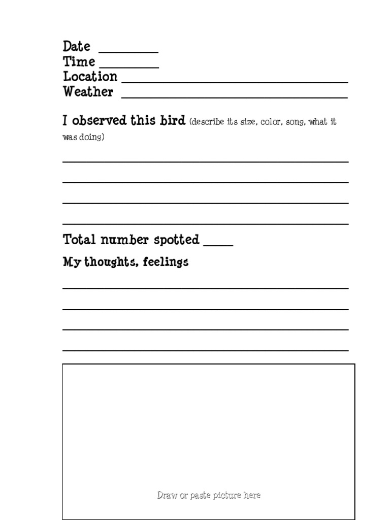 Bird Observation Log Template | PDF | Birds | Paravians