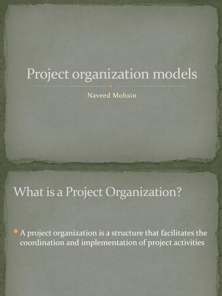 Project Organization Models Pdf Cognition Business