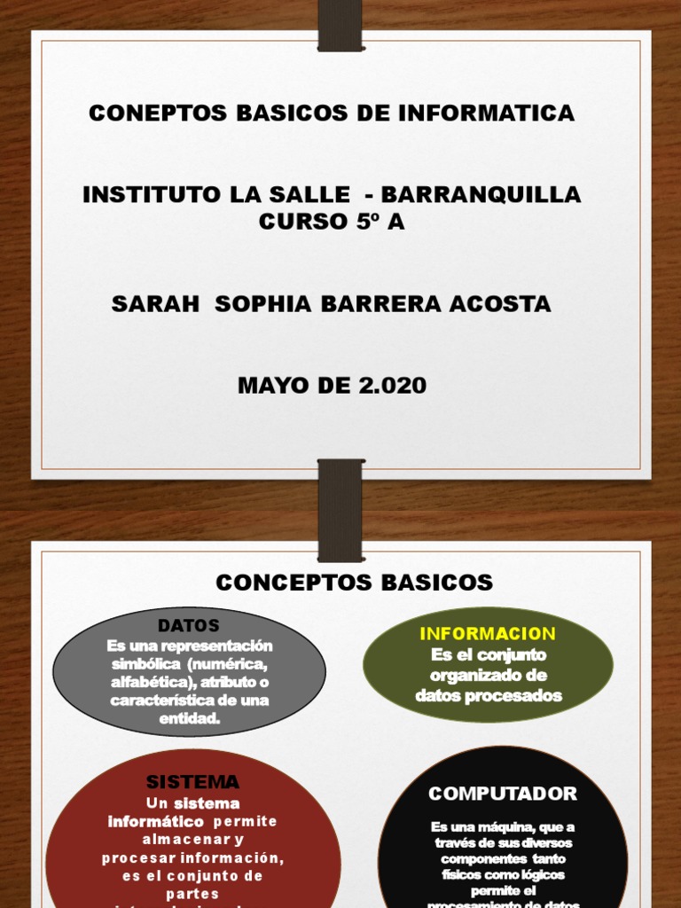 Conceptos Basicos Informatica | PDF | Informática