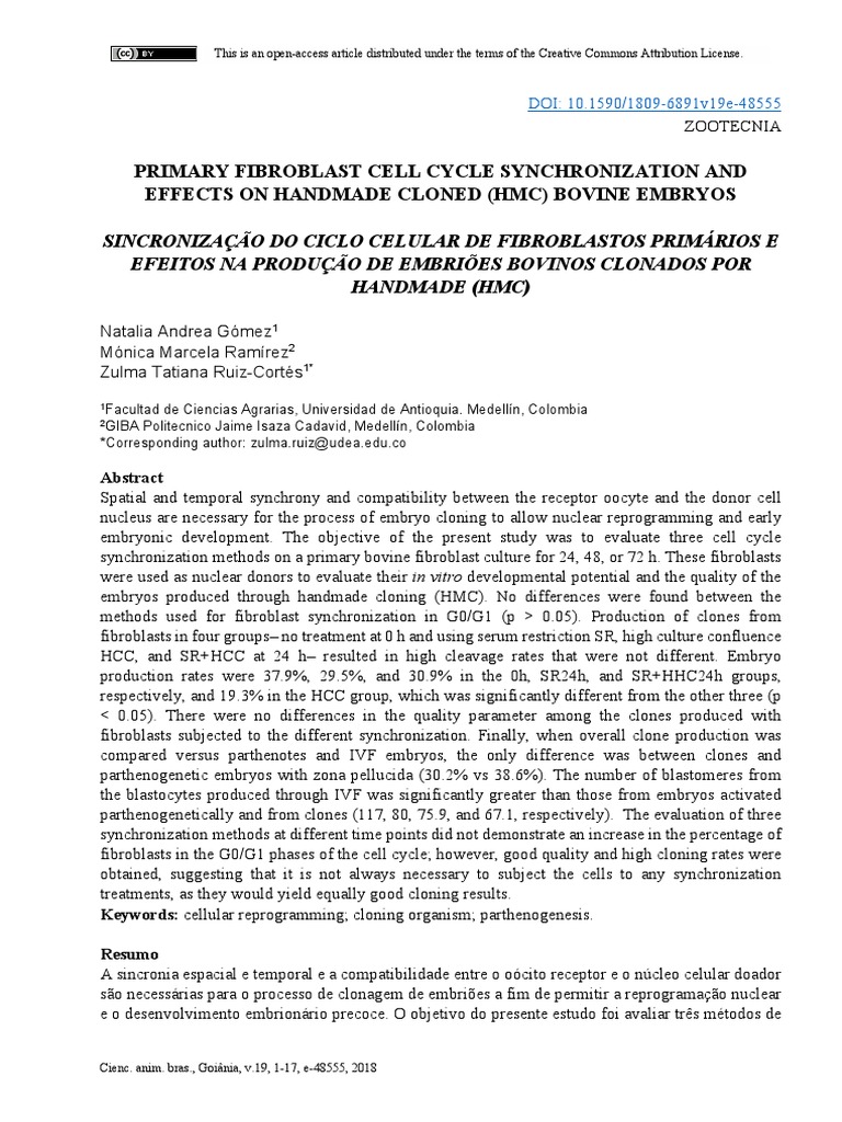 Primary Fibroblast Cell Cycle Synchronization and Effects On Handmade Cloned (HMC) Bovine ...